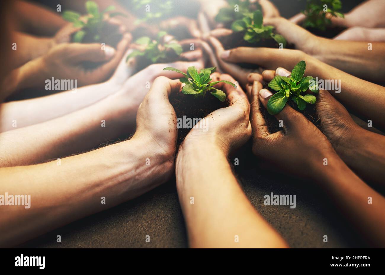 People Cleaning The Earth