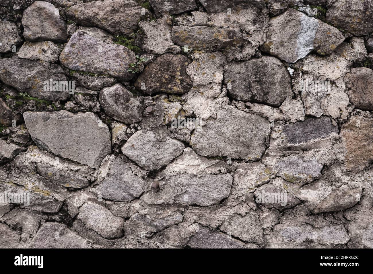 Seamless bumpy texture hi-res stock photography and images - Alamy