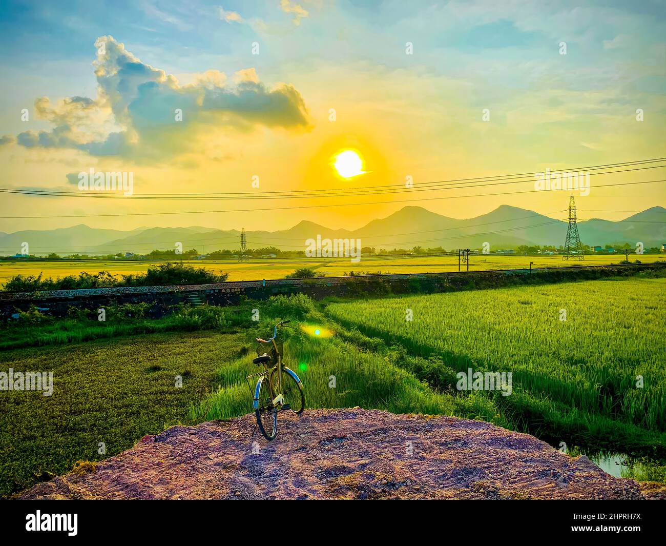 Wide open green and yellow rice fields with mountains or hills in the ...