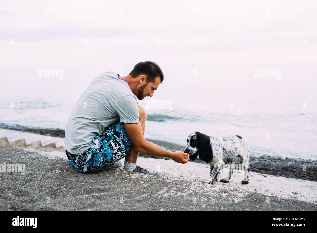 Happy owner of russian cocker spaniel dog, responsibility of caring ...