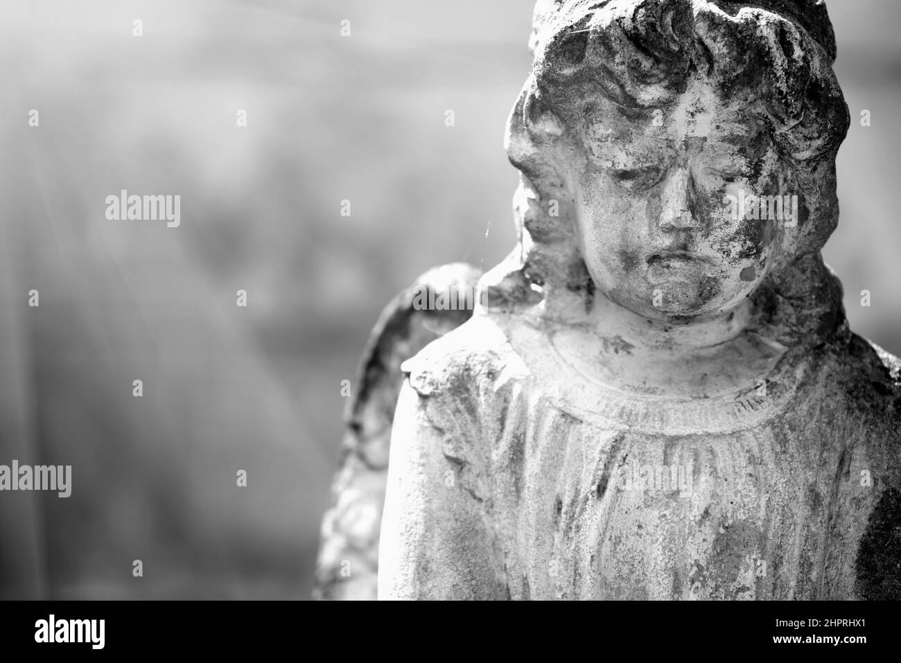 Praying angel with sweet facial expression. Black and white image of an ...