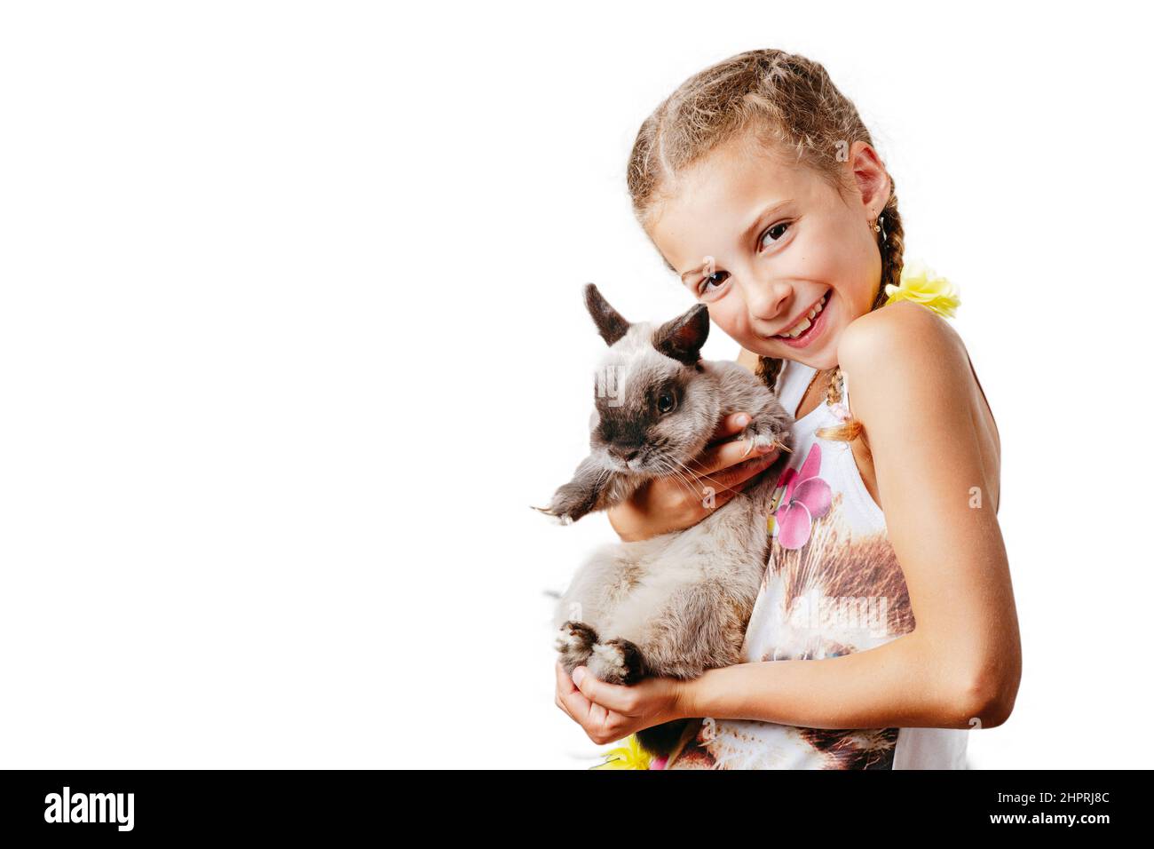 Little girl holding small rabbit in her hands, Isolated on white ...