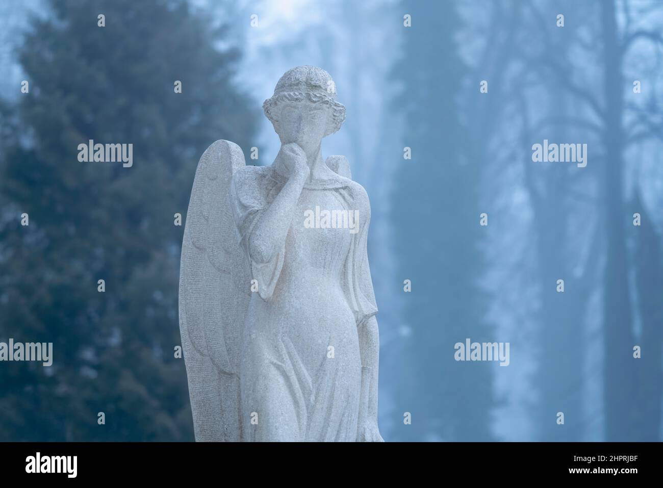 Dramatic sensitive facial expression of beautiful angel. Copy space ...