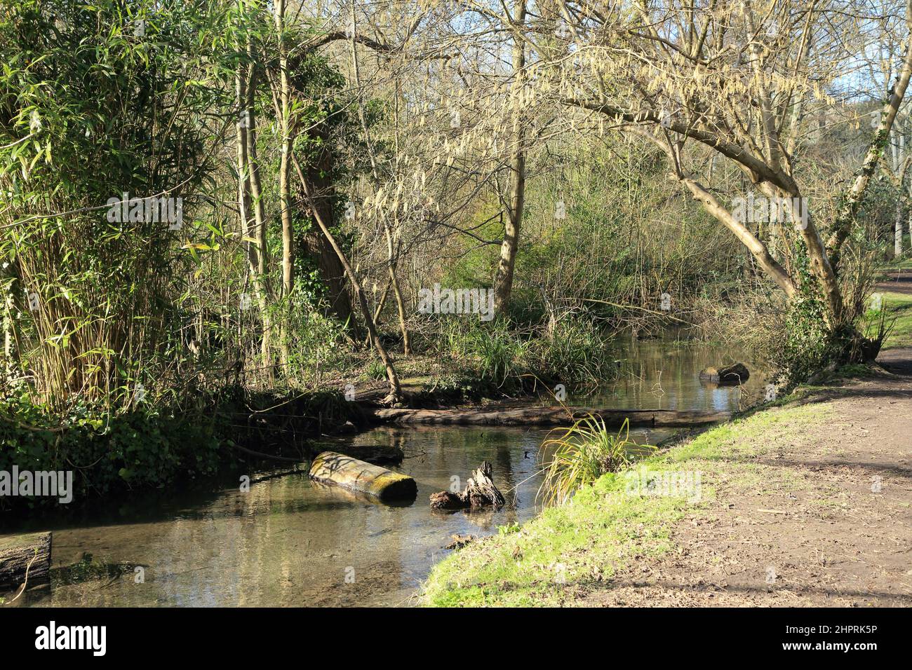 Kearsney park hi-res stock photography and images - Alamy