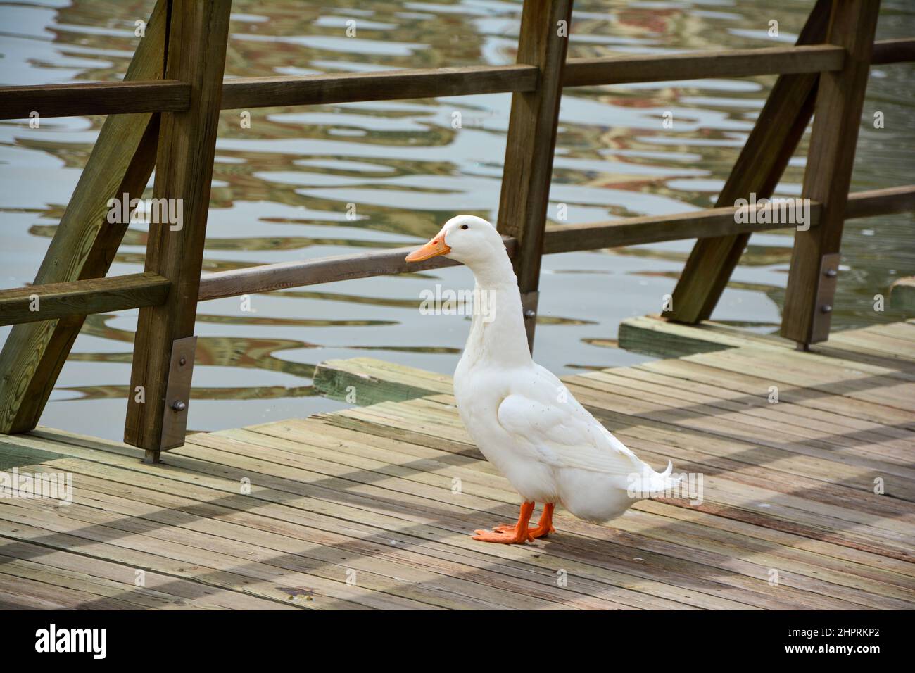 Dove bridge summer hi-res stock photography and images - Alamy