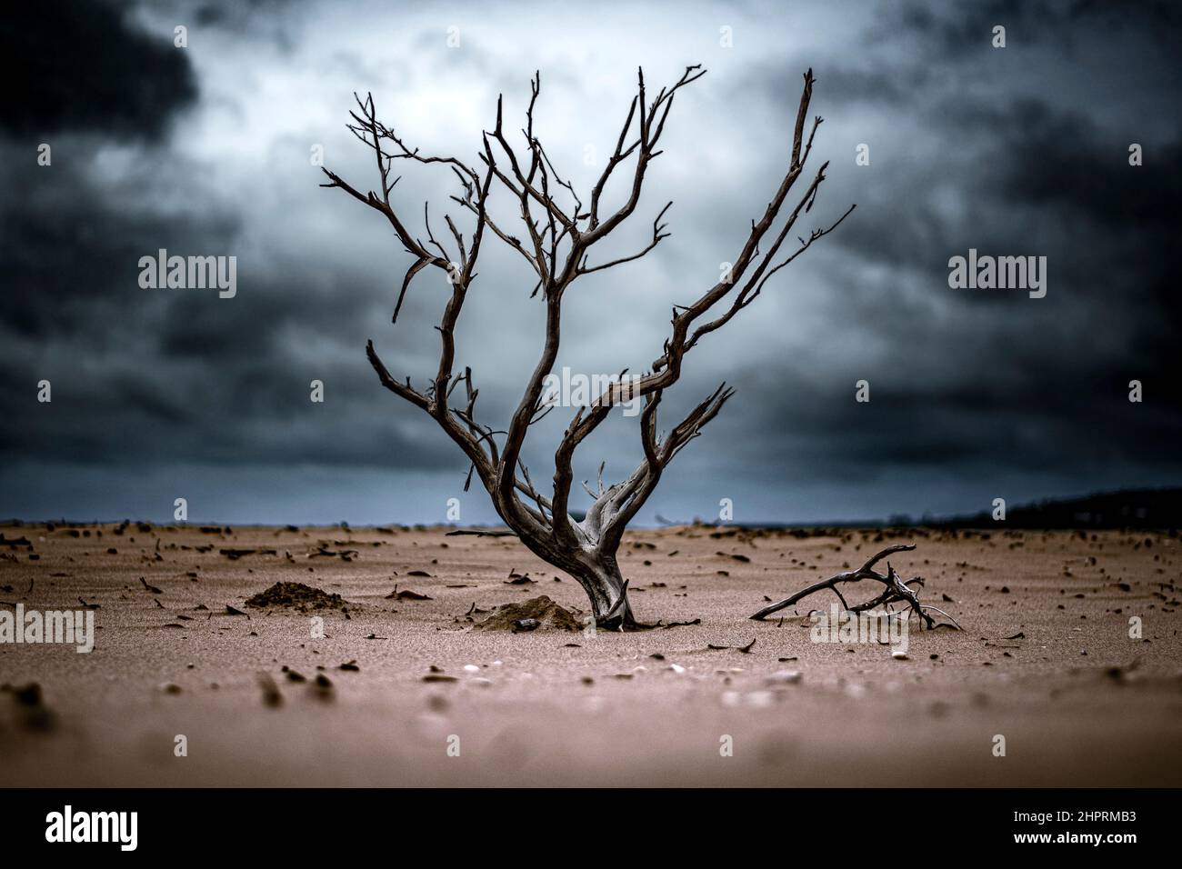 Apocalipsis armageddon hi-res stock photography and images - Alamy