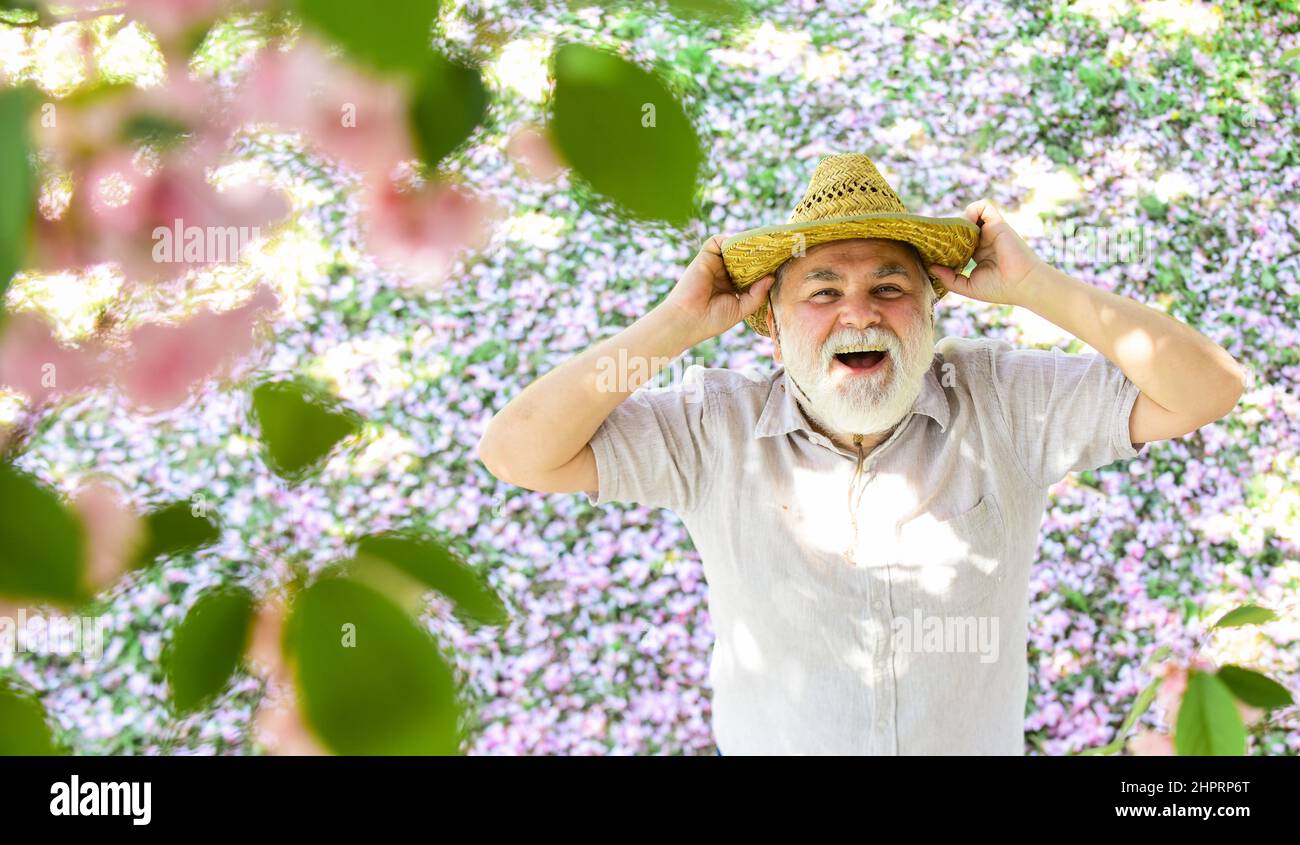 old man enjoy spring nature. union with nature. senior man with gray ...