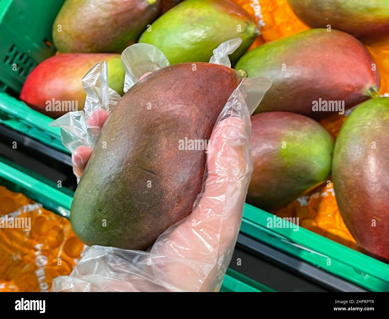Woman choosing ripe mango at supermarket. Close up Stock Photo - Alamy