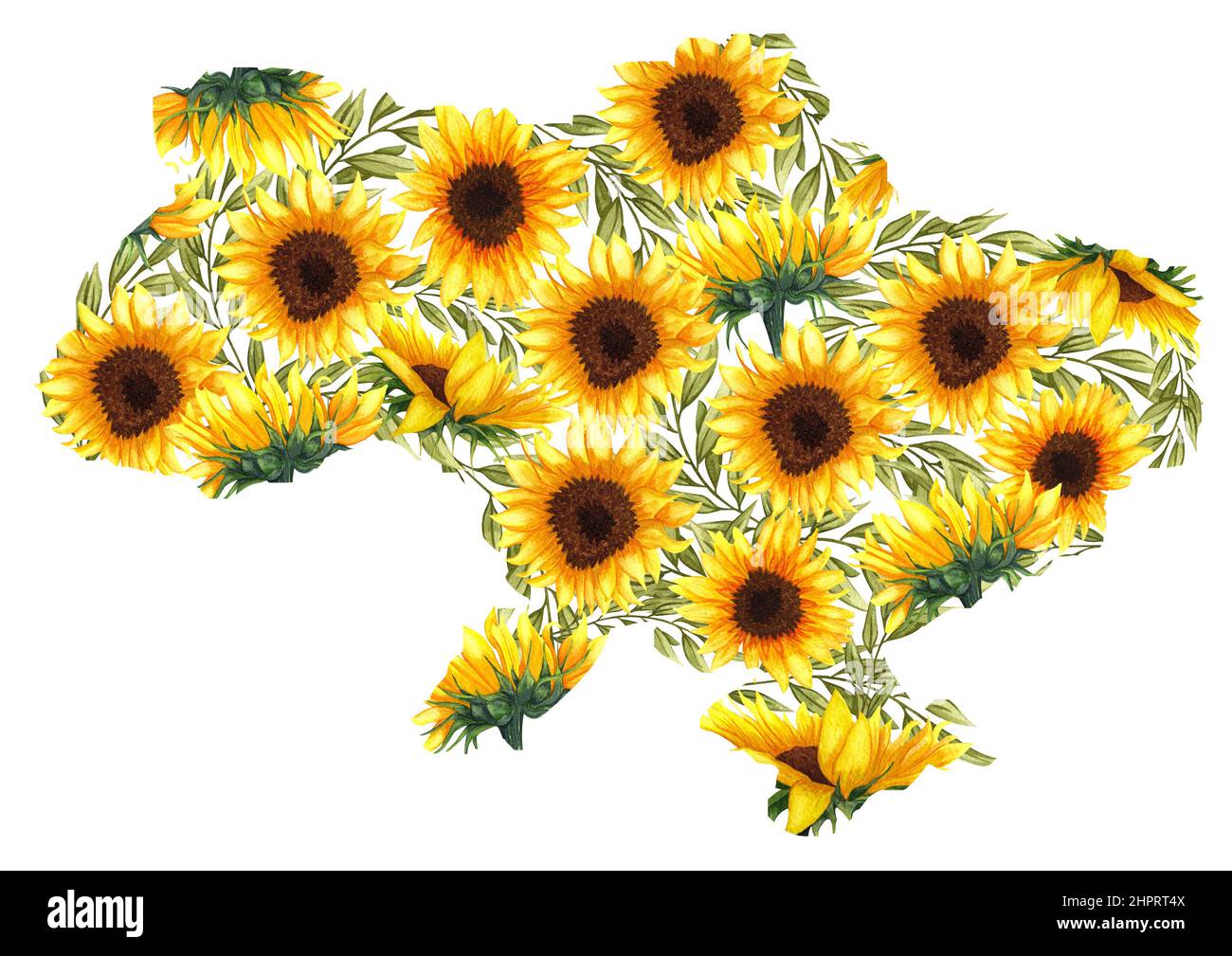 Ukraine Map with Realistic flowers design. Watercolor Sunflower ...