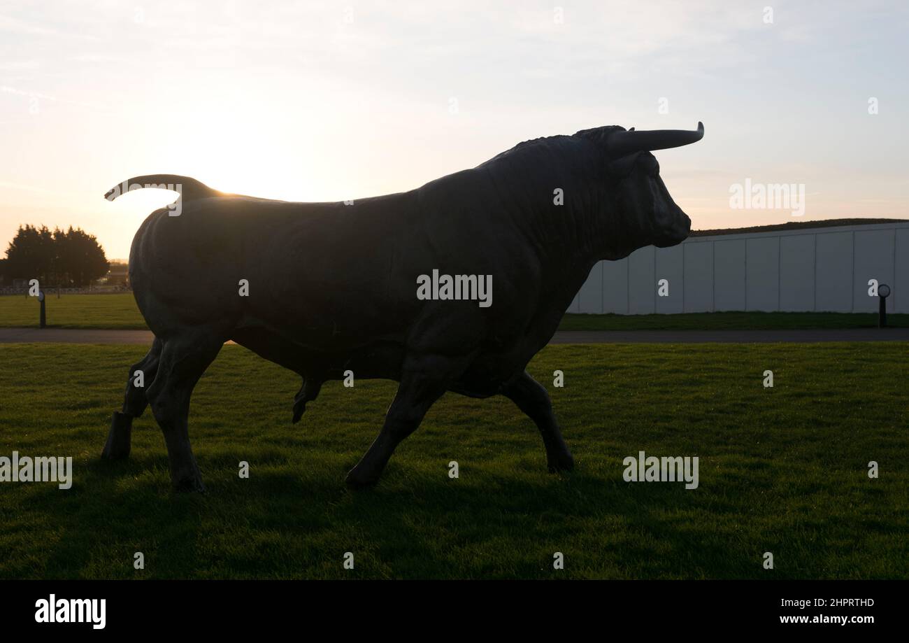 Bull sculpture at sunrise, Dallas Burston Polo Club, Southam ...