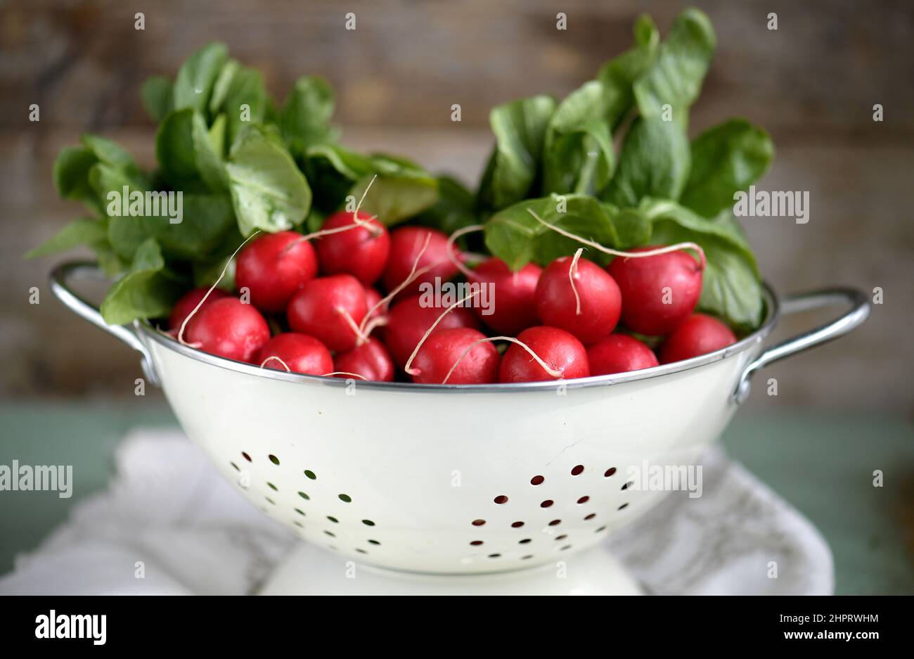 Red radishes Photo Janerik Henriksson / TT code 10010 Stock Photo - Alamy