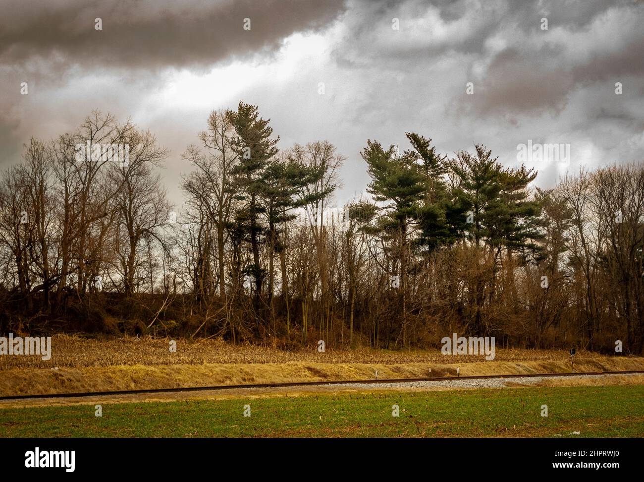 A View of a Forest Tree Line by a Right of Way Train Track in Winter on ...