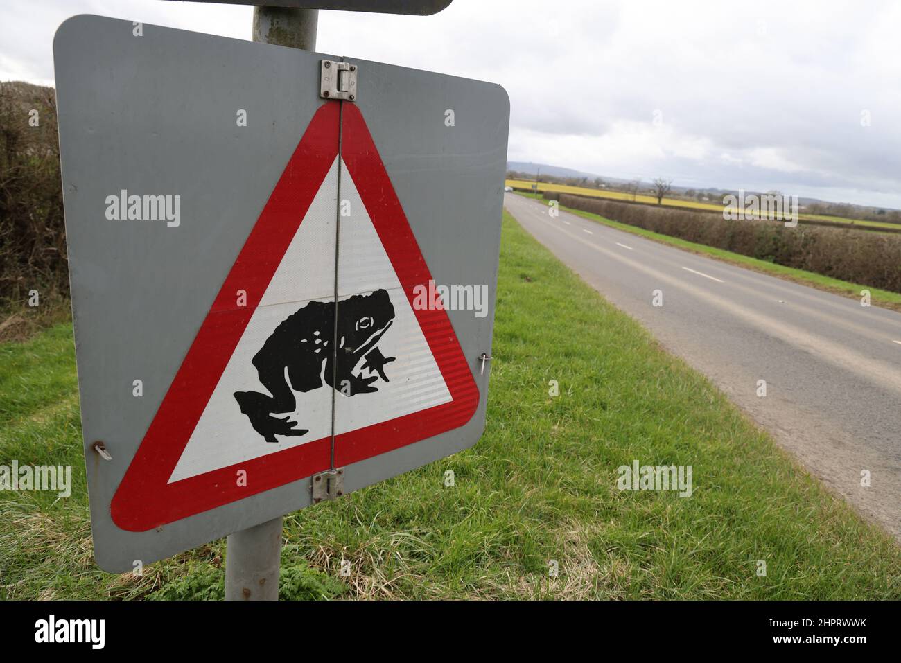 Warning Frogs sign near Staunton, Gloucestershire Picture by Antony ...