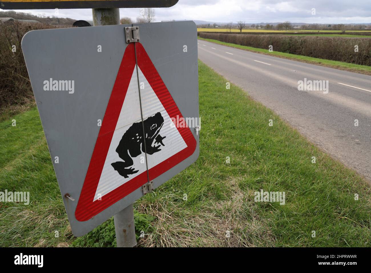 Warning Frogs sign near Staunton, Gloucestershire Picture by Antony ...