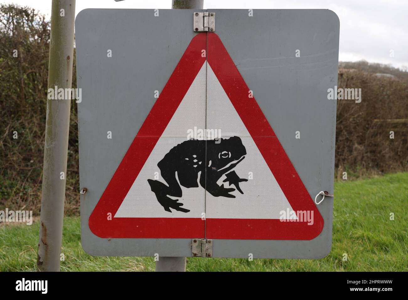 Frogs ahead road warning sign hi-res stock photography and images - Alamy