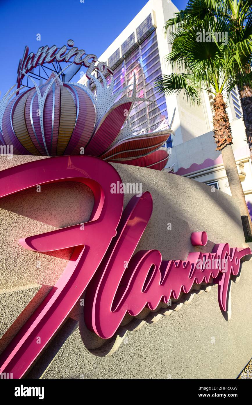 Logotipo De Flamingo Las Vegas Flamingo Las Vegas Hotel Sign Hi Res
