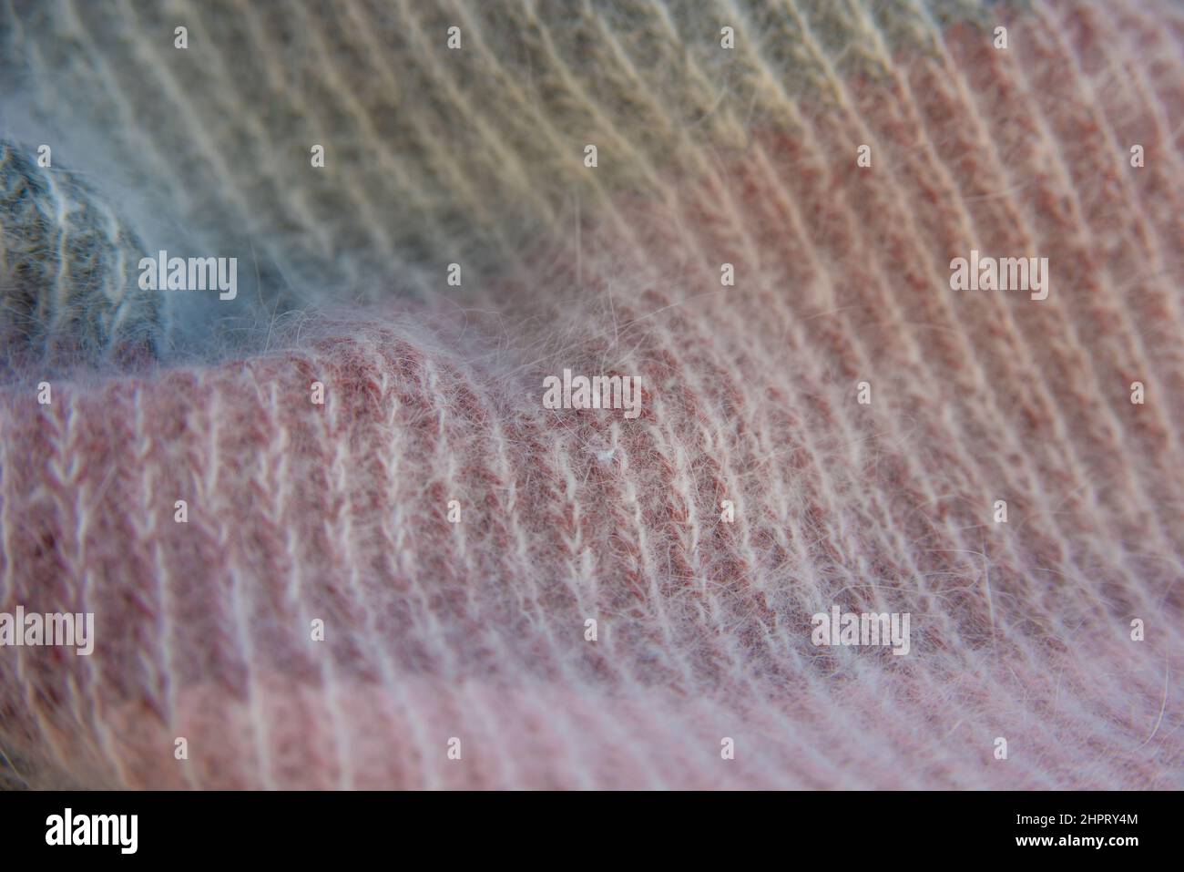 Soft wool hi-res stock photography and images - Alamy