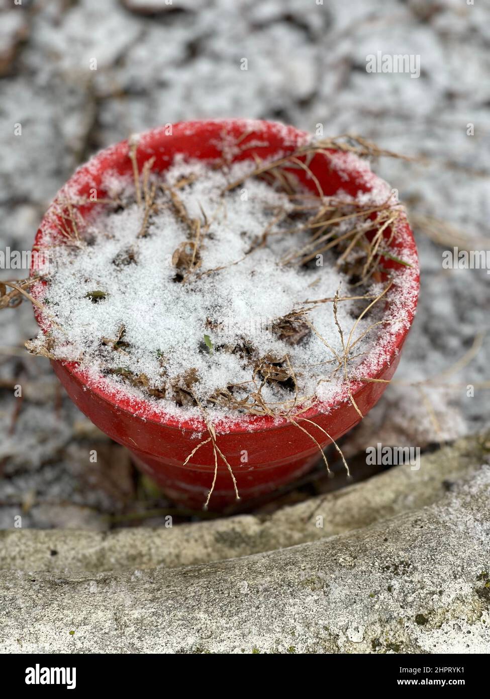 Frosty garden pots hi-res stock photography and images - Alamy