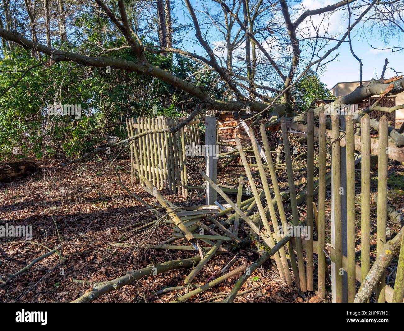 Broken fence after a storm with fallen tree Stock Photo - Alamy