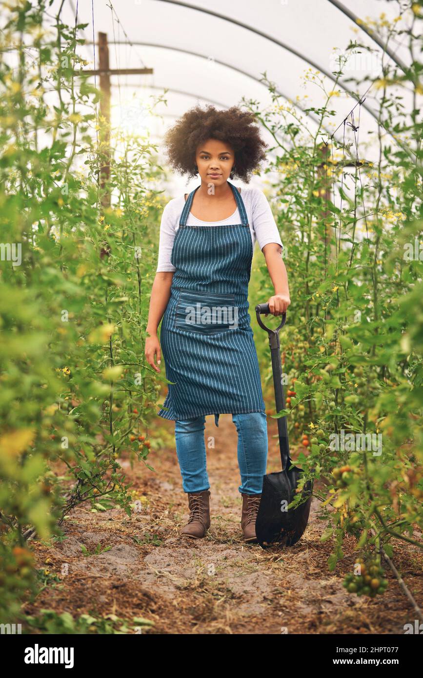 Hard labour hi-res stock photography and images - Alamy