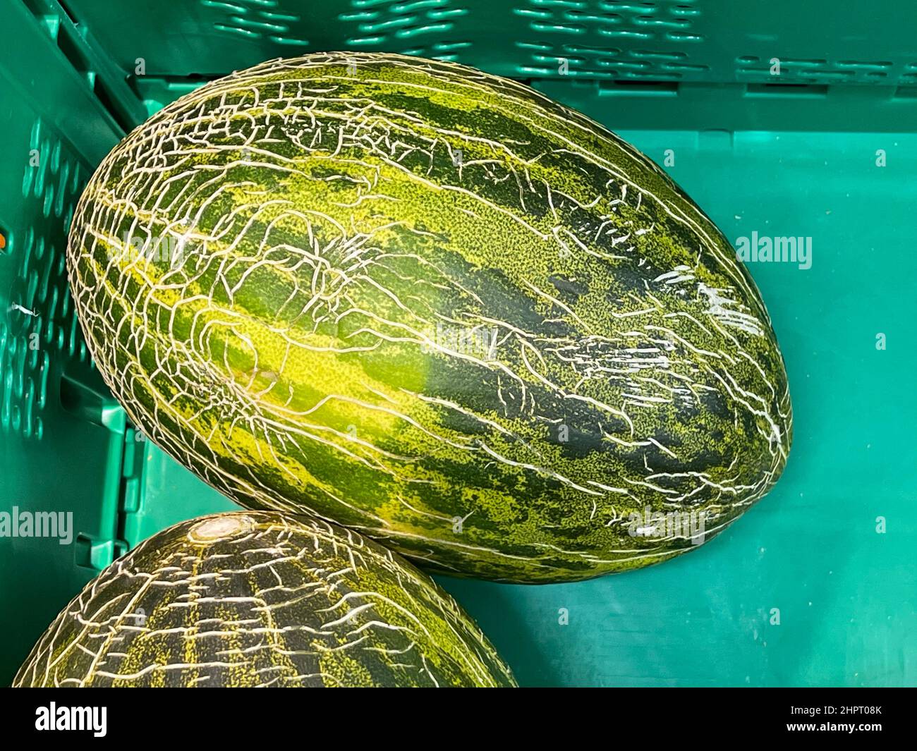 Large green striped watermelons. Fruit background on the counter in the ...