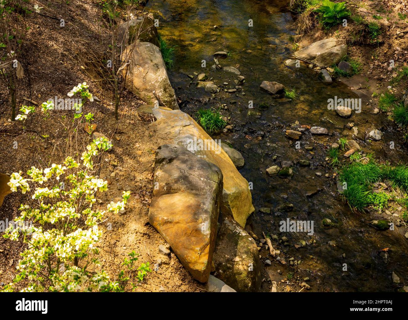 View of a Small Brook Running Thru Many Rocks and Boulders on a Sunny ...