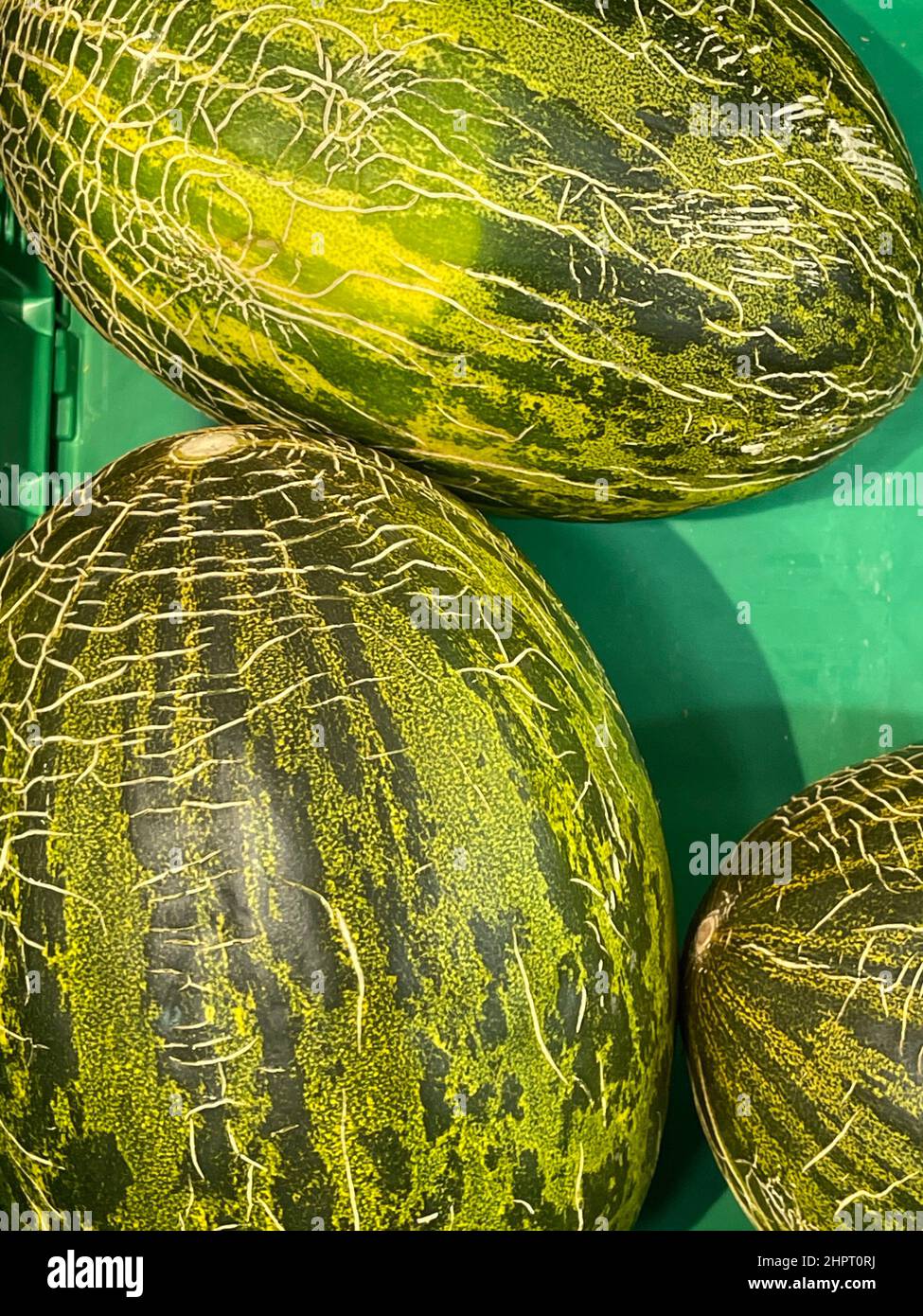 Large green striped watermelons. Fruit background on the counter in the ...