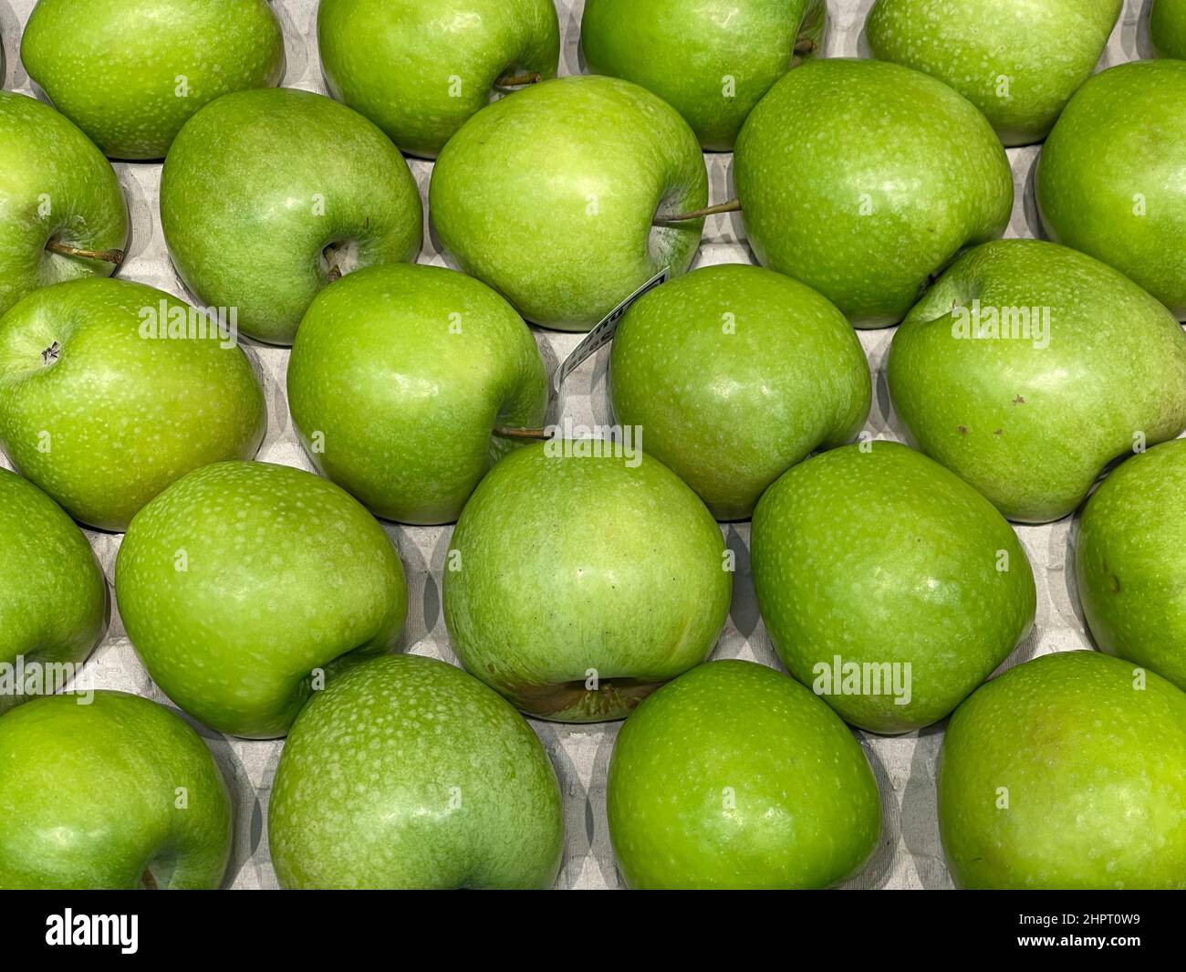 Creative layout made of green apple with watercolor spots on the white ...