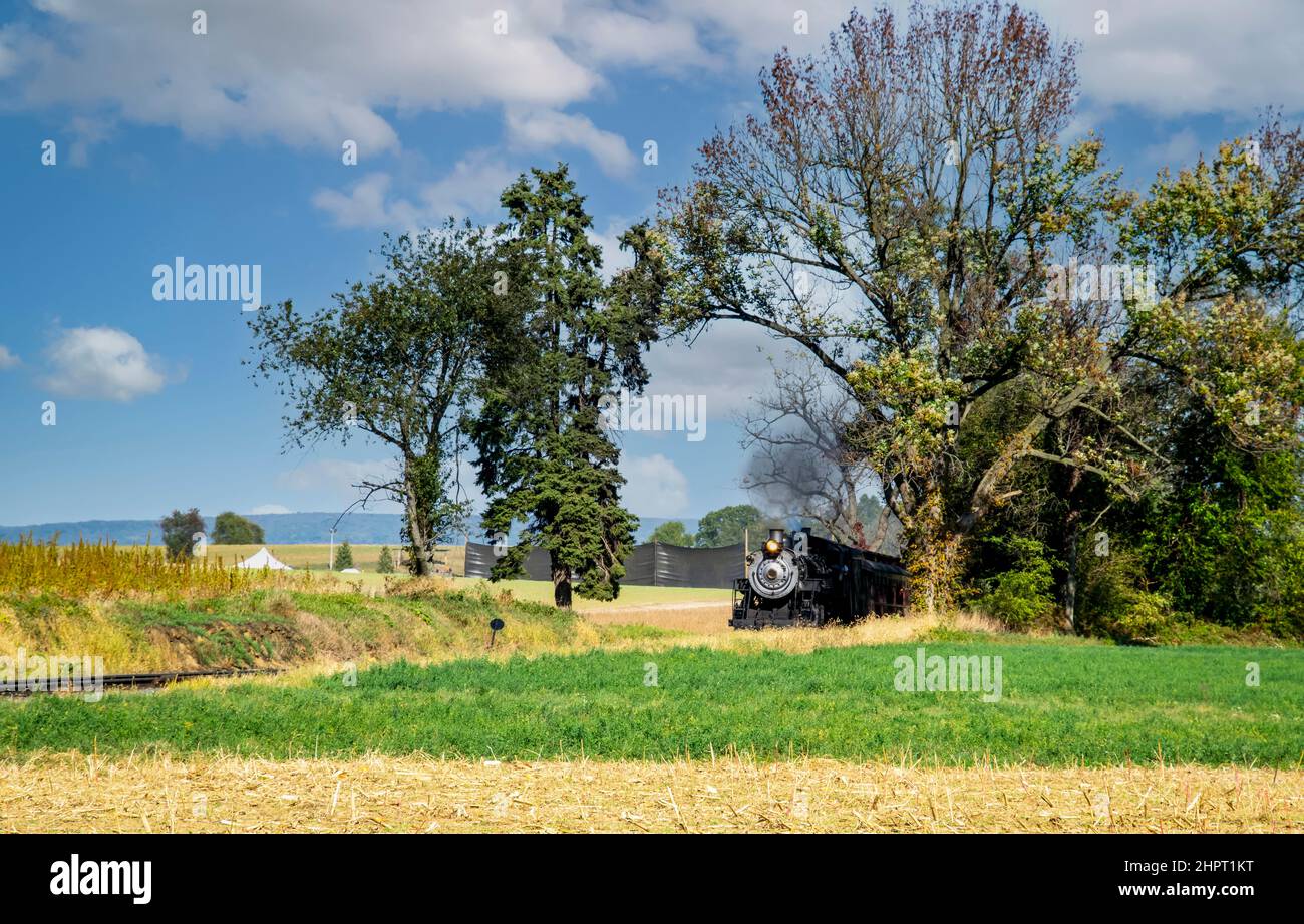 A View of an Antique Steam Locomotive Approaching Thru Trees on a Sunny ...