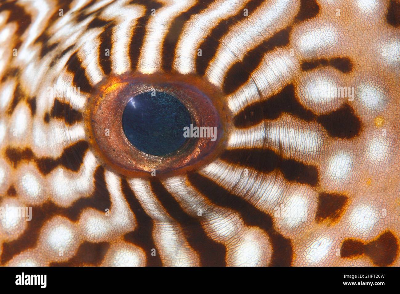 Mappa a hi-res stock photography and images - Alamy