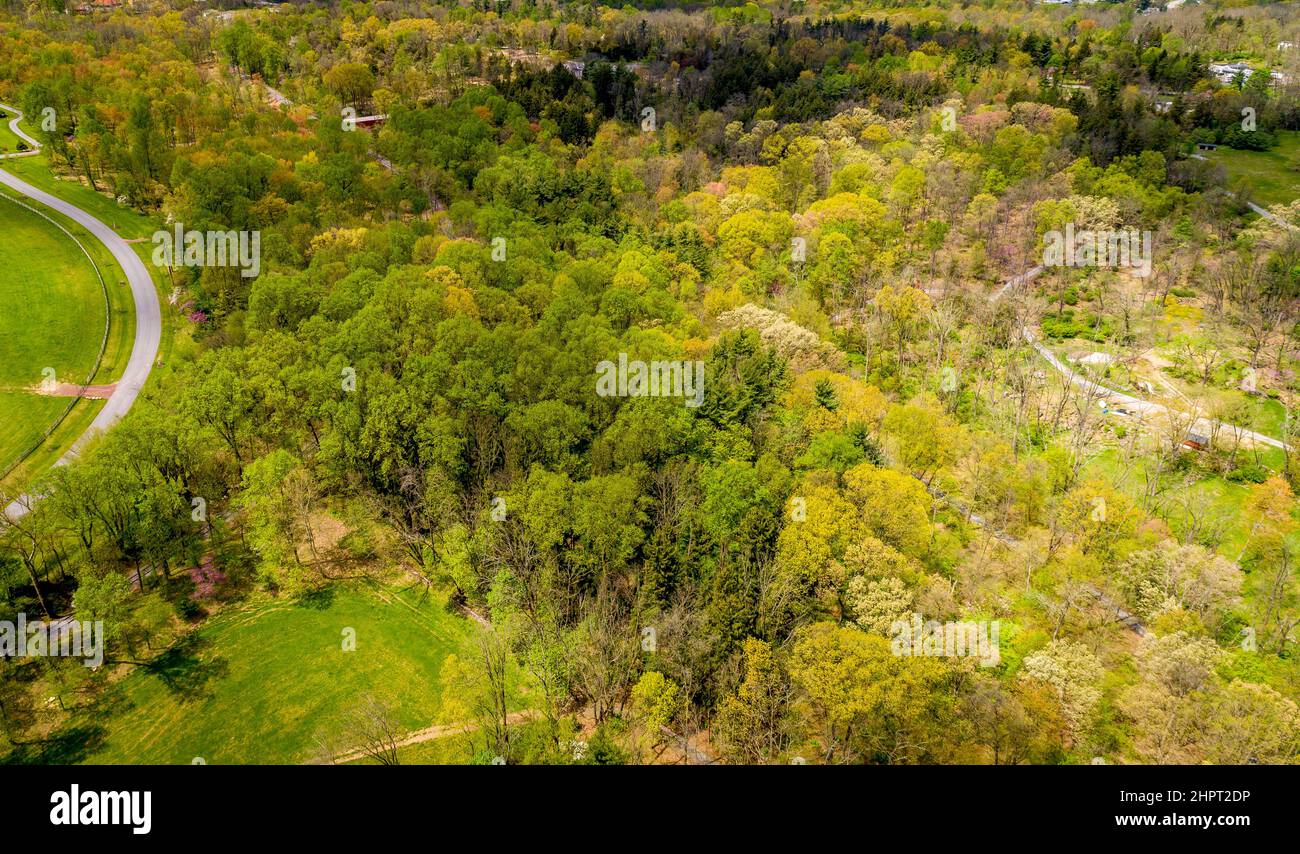 Aerial View of Spring Trees and Landscape With Trails and Roads Running ...