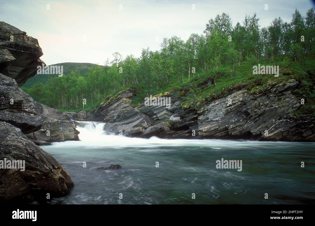Wild river rapids in the country in 2005, analog. Fast, strong, and ...