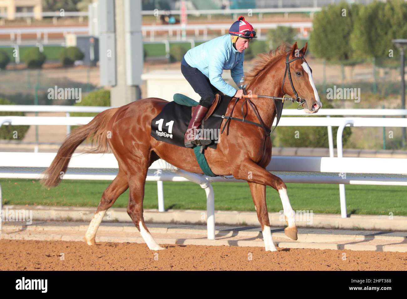 The wizard of eye racecourse hi-res stock photography and images - Alamy