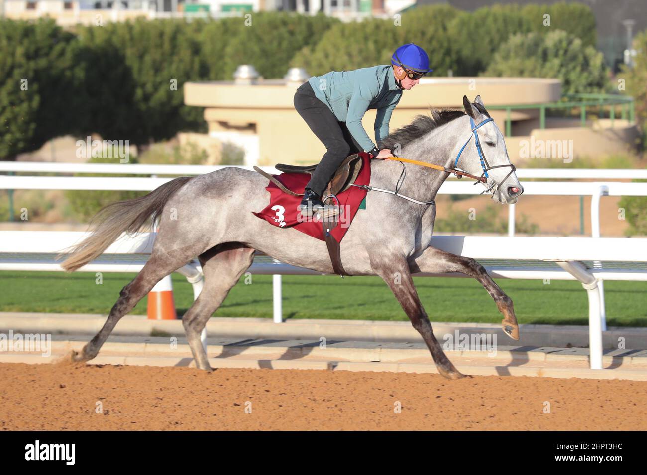Usa. 23rd Feb, 2022. February 23, 2022: "PRINCESS ZOE exercises in ...