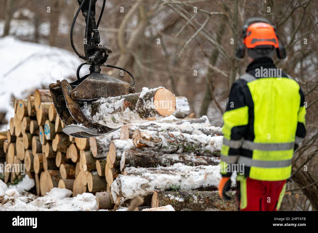 Forestry logger tractor in forest hi-res stock photography and images ...