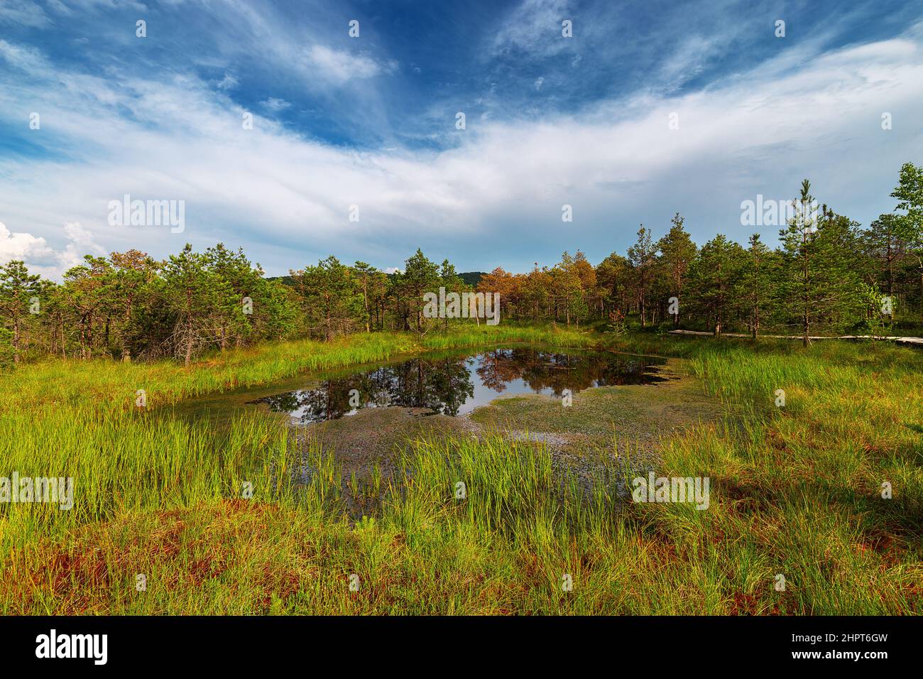 Small pond in the moors next to Saint Anna lake in Transylvania ...