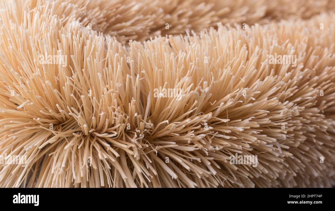 closeup abstract of coconut coir fiber, macro wallpaper background ...