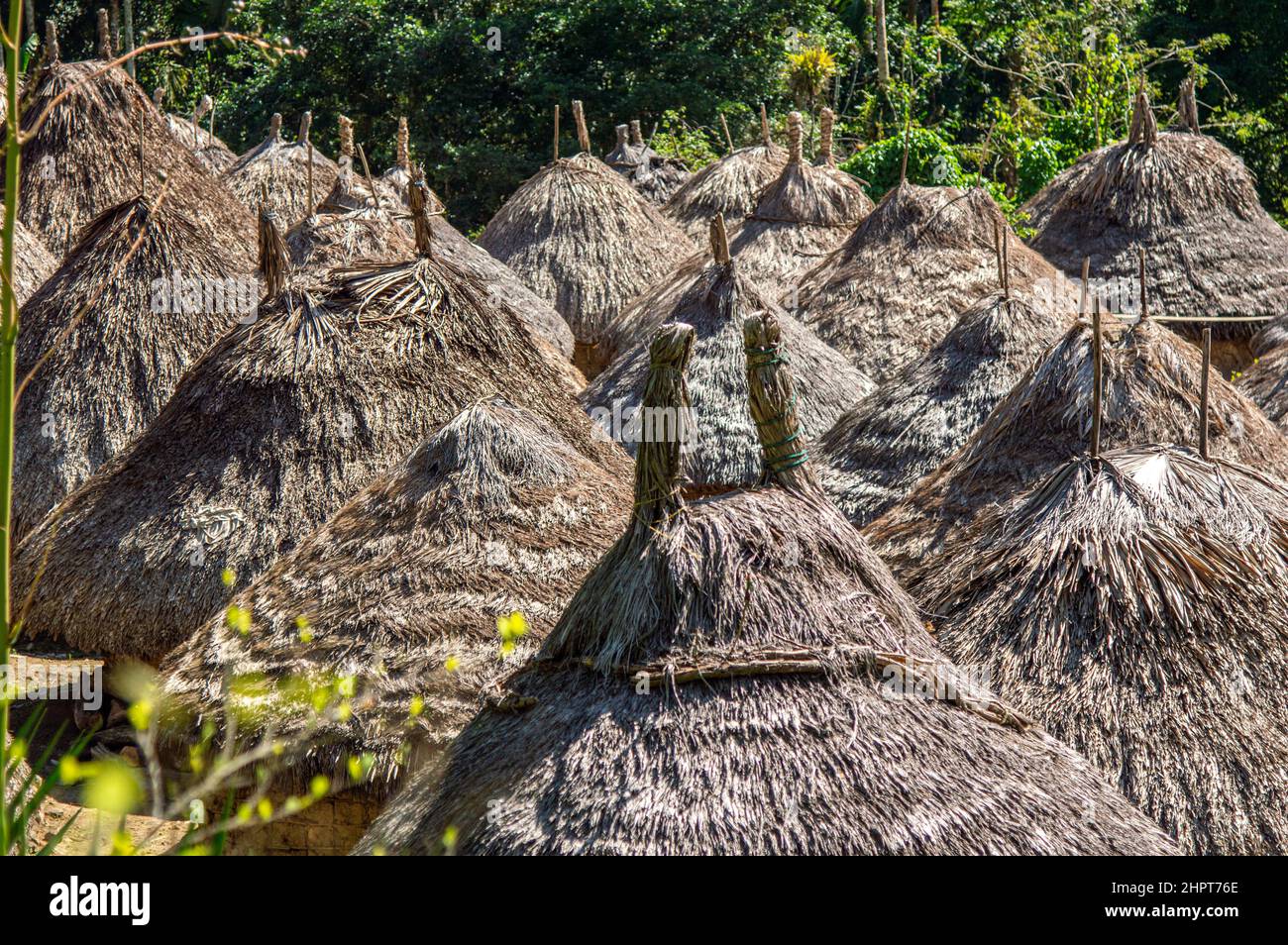 Indigenous Kogi tribal huts near the Lost City/Ciudad Perdida in ...