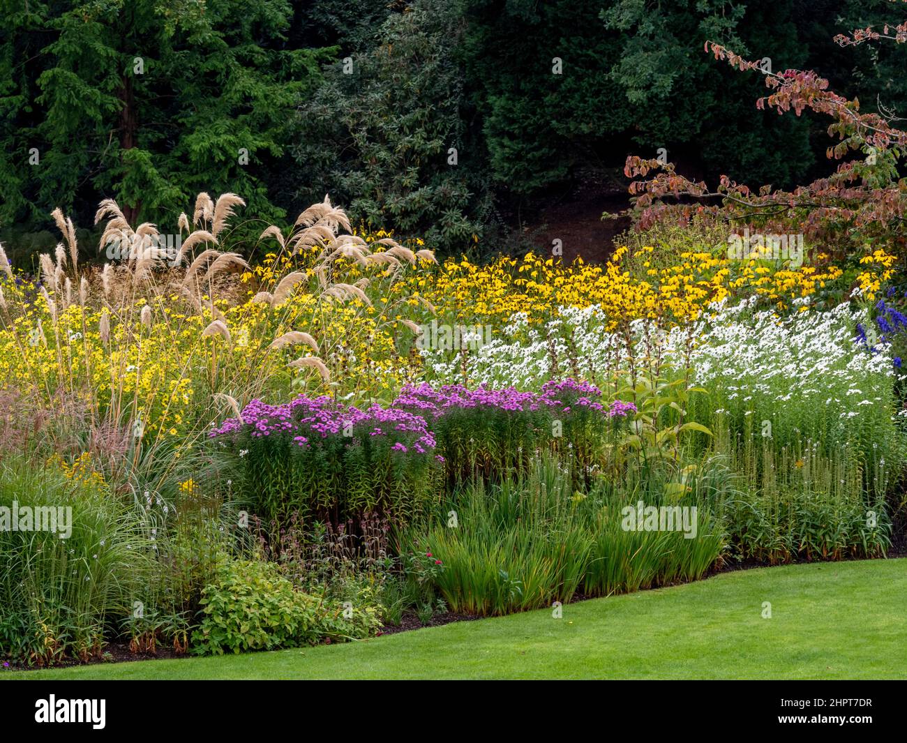 Flowerbed with prairie style planting in a UK garden Stock Photo - Alamy