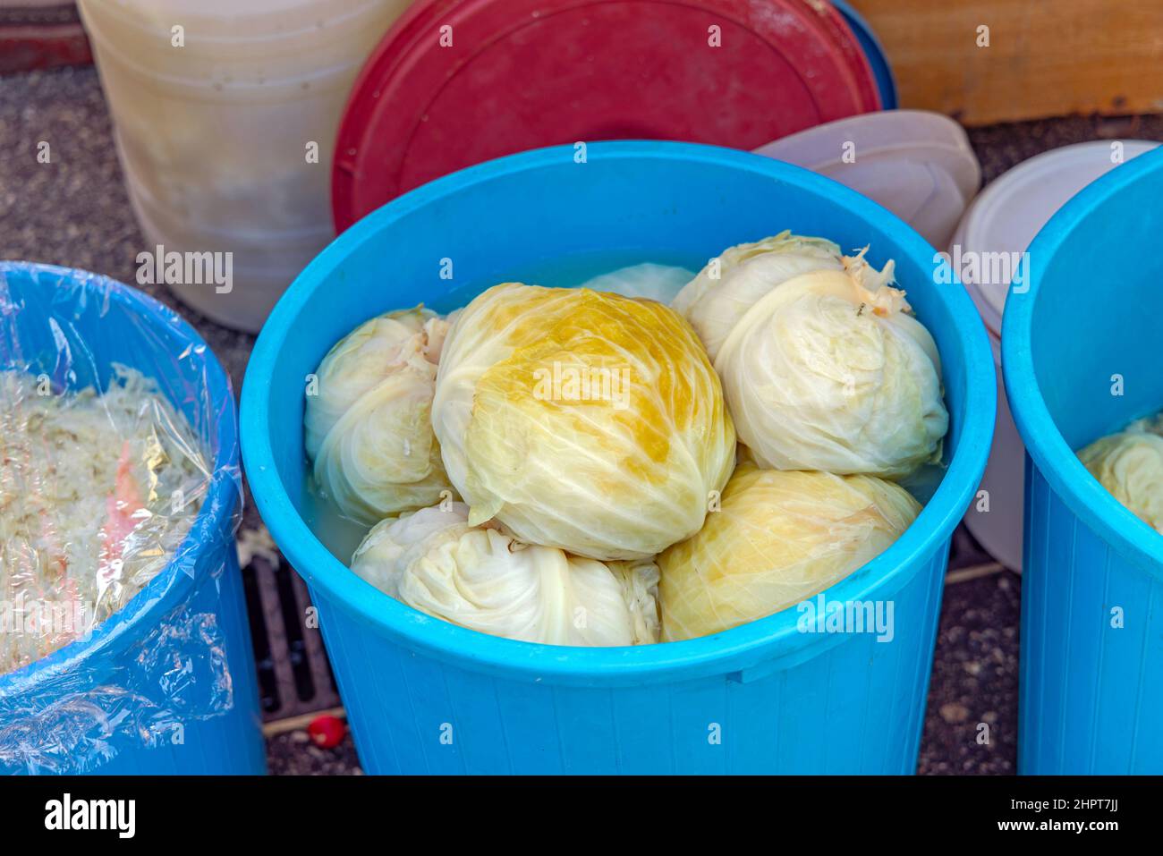Whole Sour Cabbages Fermented Sauerkraut in Buckets Stock Photo - Alamy