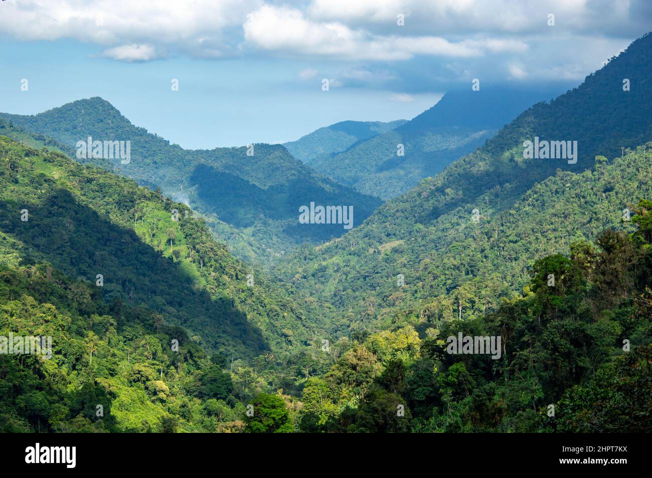 A view of the jungle landscape of the Sierra Nevada de Santa Marta ...