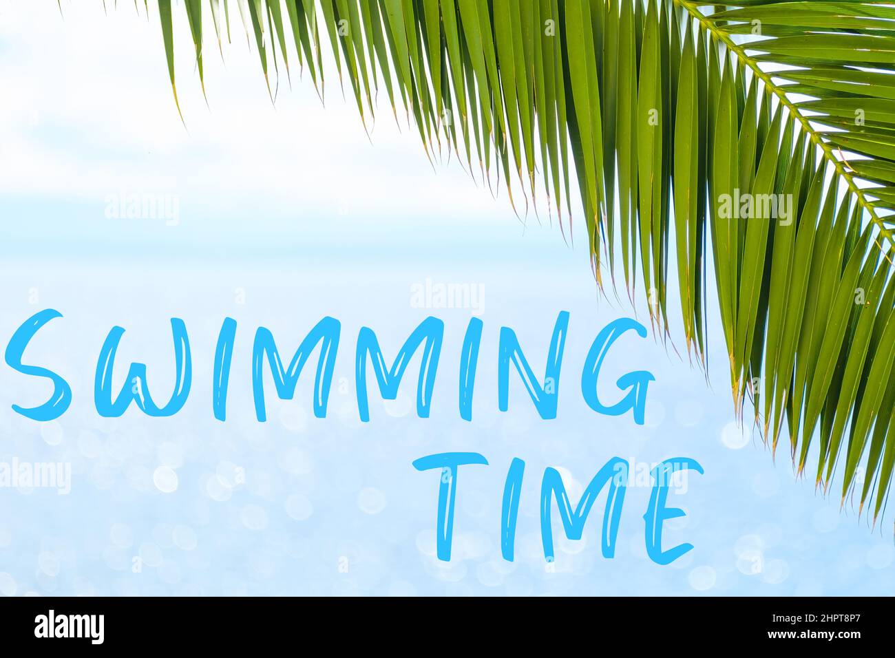 Swimming time message written in elegant font on the background with ...