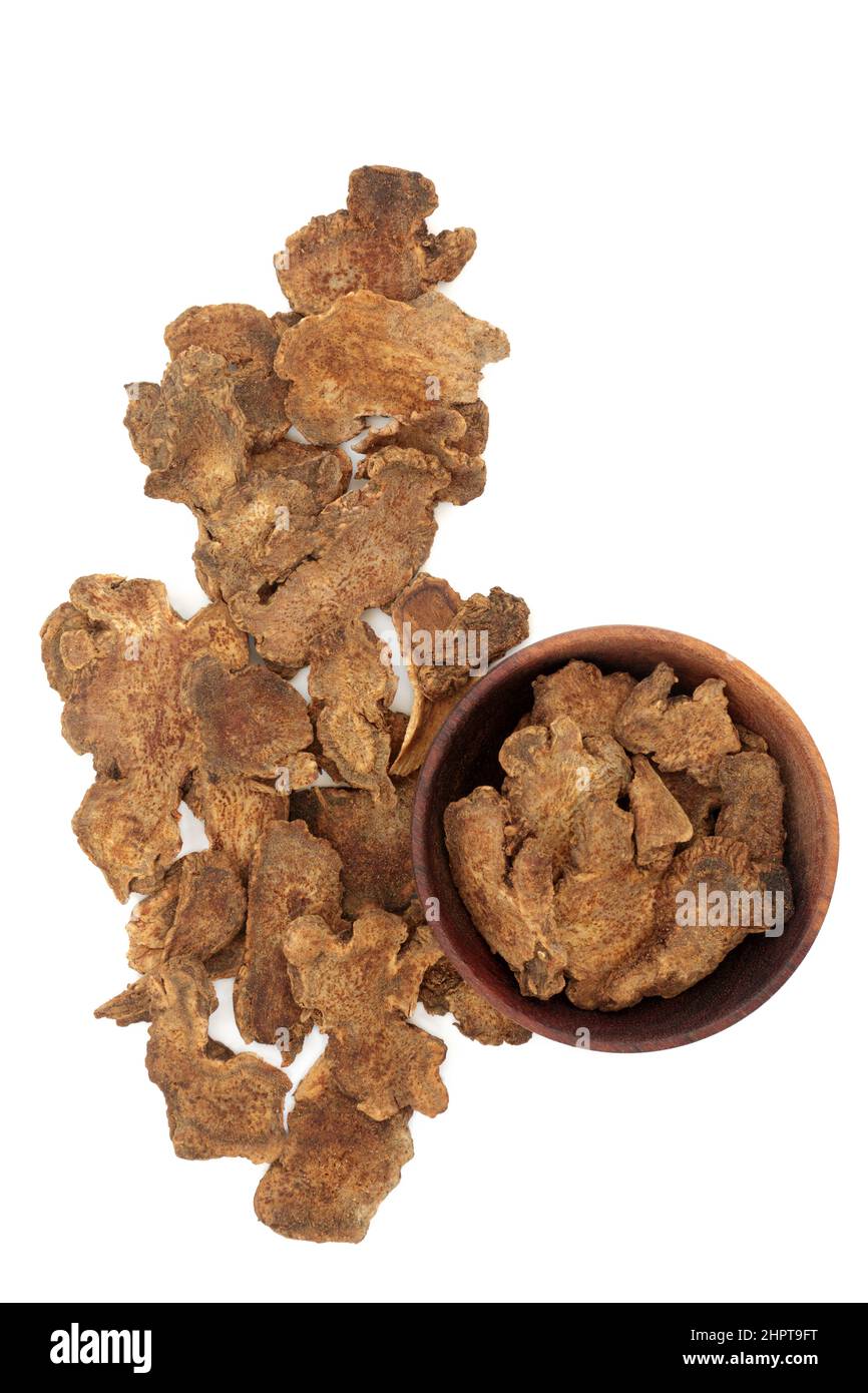Atractylodes root herb used in traditional Chinese herbal medicine on ...