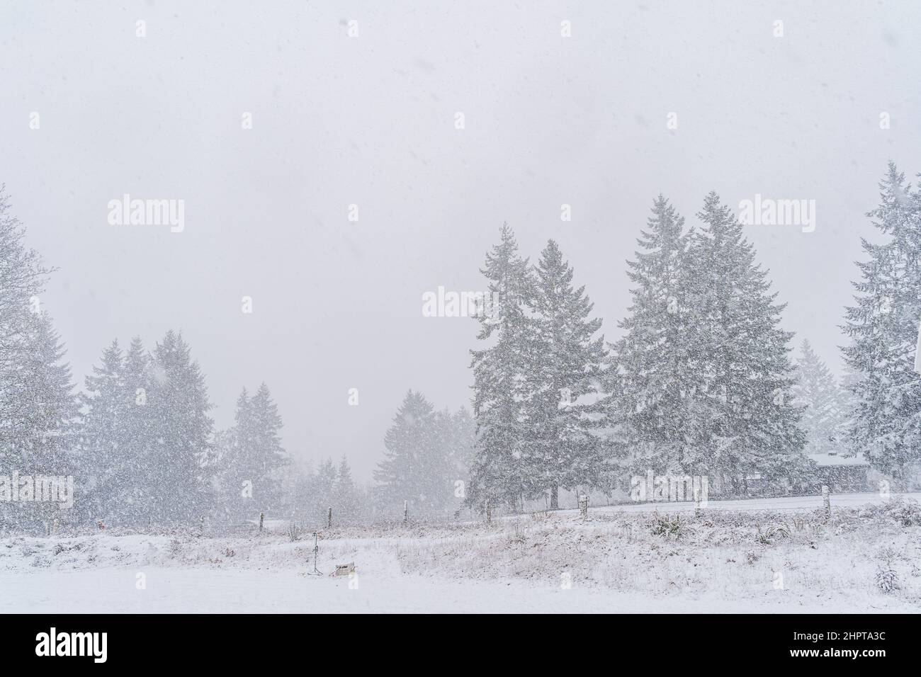Snowing snow falling snowfall hi-res stock photography and images - Alamy