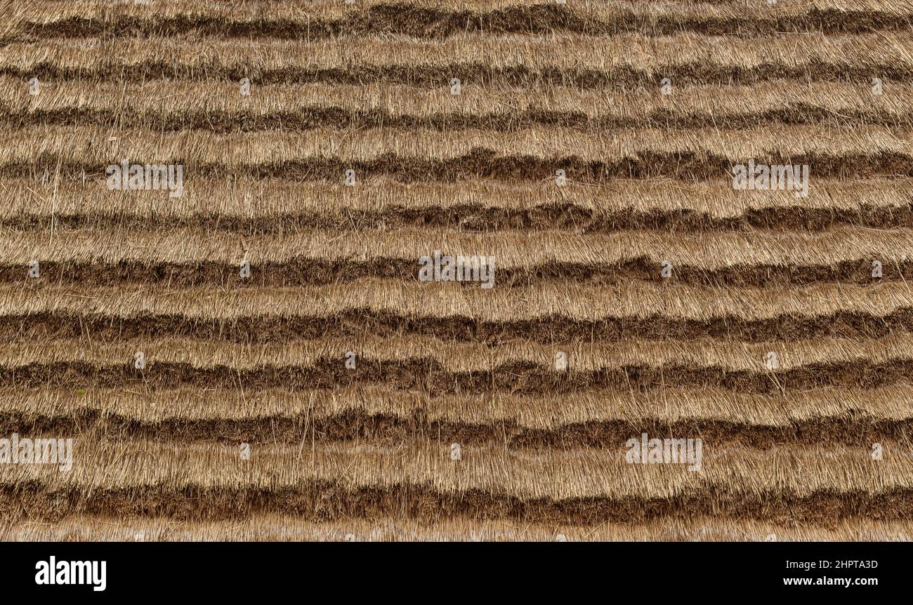 Thatch roof texture Stock Photo - Alamy