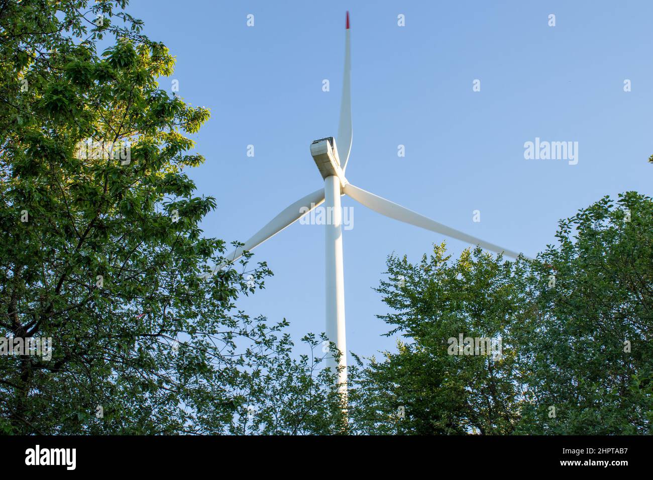 Windturbine with Trees Stock Photo - Alamy