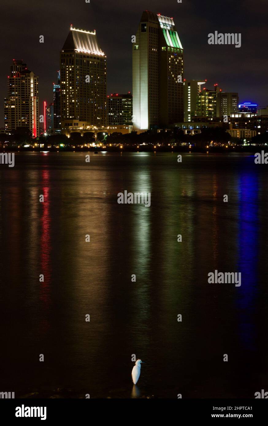 Egret in San Diego Harbor at Night Stock Photo - Alamy