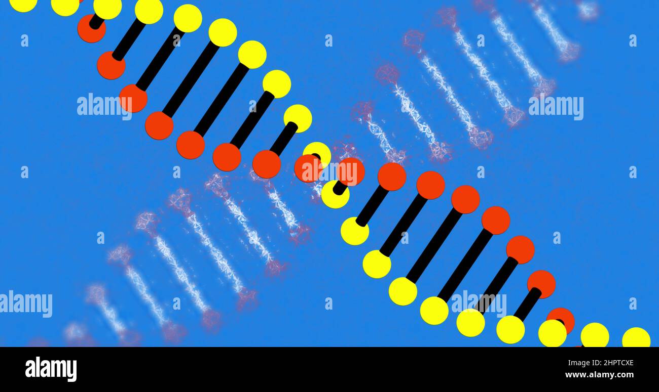 Image of dna strands spinning on blue background Stock Photo - Alamy