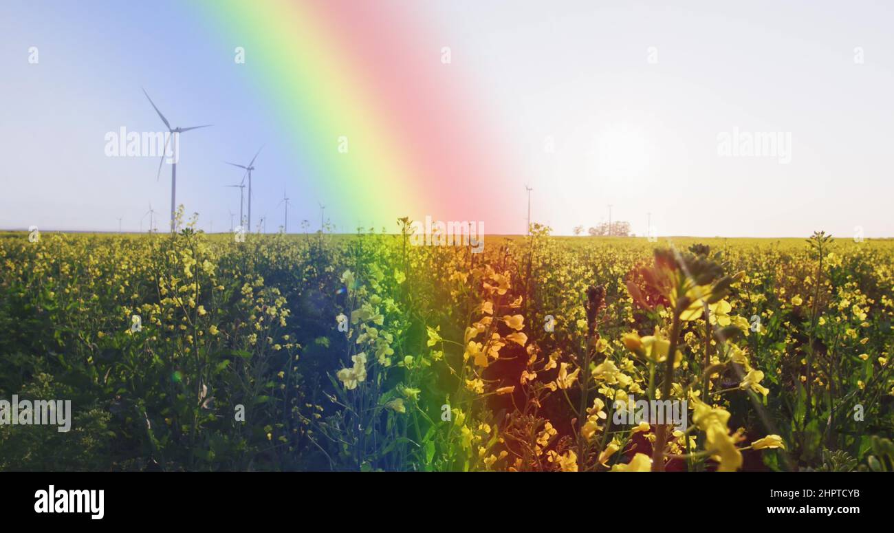 Fog rainbow hi-res stock photography and images - Alamy