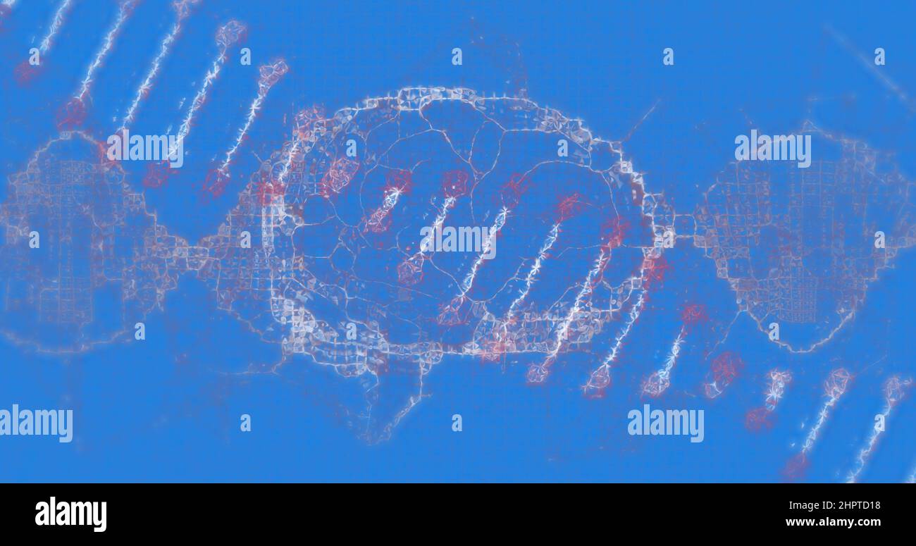 Image of dna strand spinning and human brain on blue background Stock ...